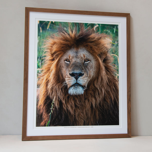 Lion King Frame | Khayni Contemporary Interiors